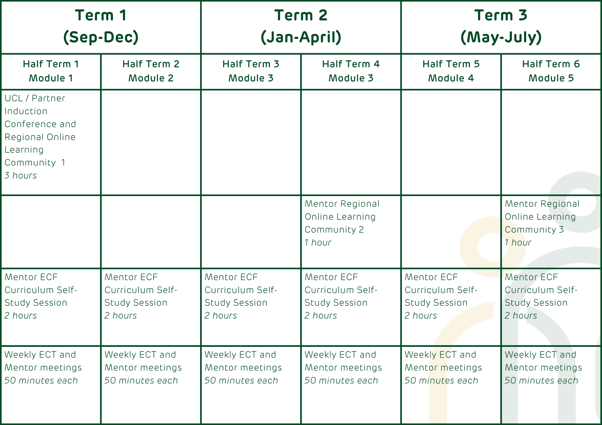 Mentor Year 1 - Exchange Teaching Hub